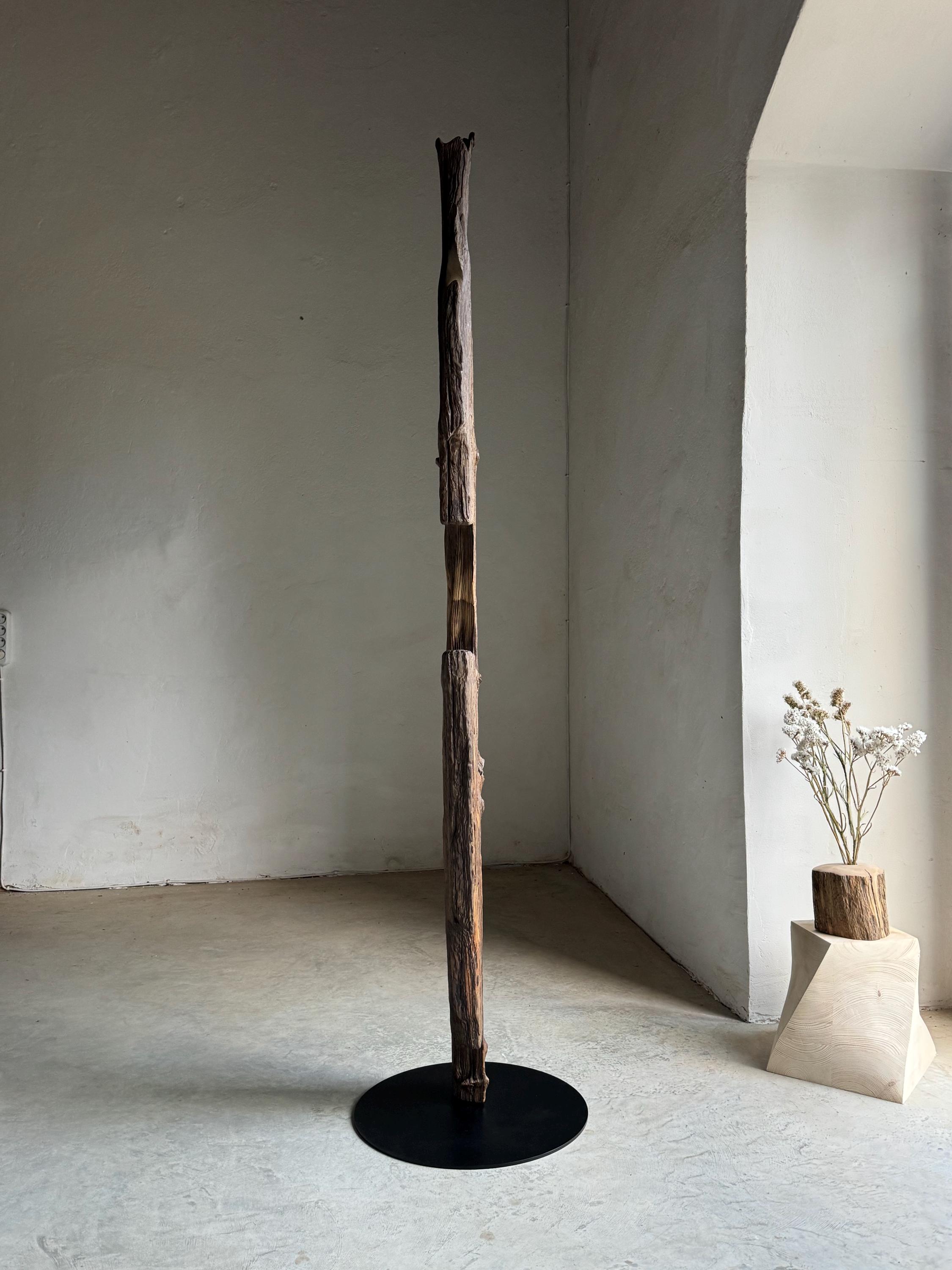 Unique Driftwood Coat Rack Artistic Sculpture With Hidden Hooks ...