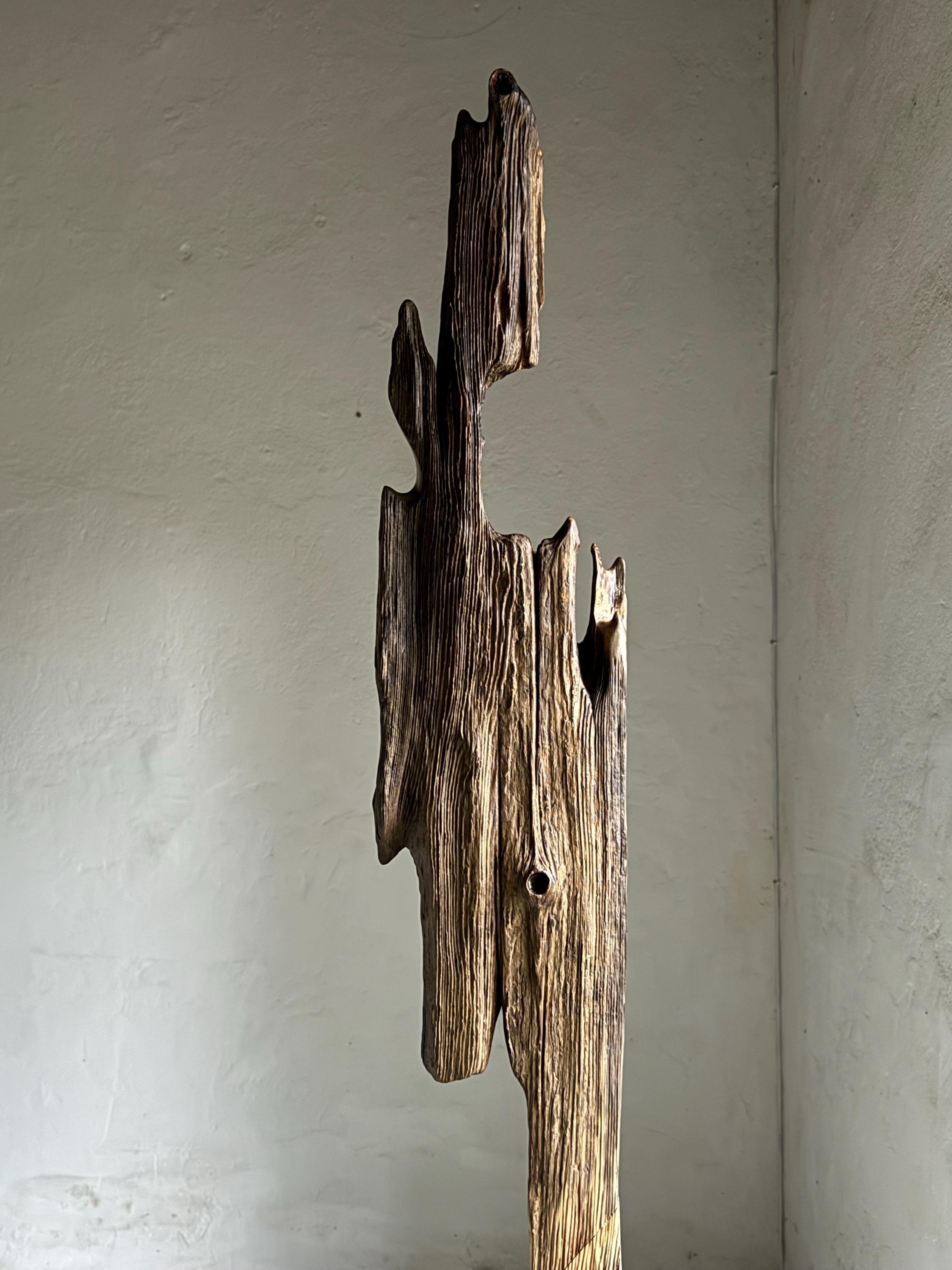 Unique Driftwood Coat Rack Artistic Sculpture With Hidden Hooks ...