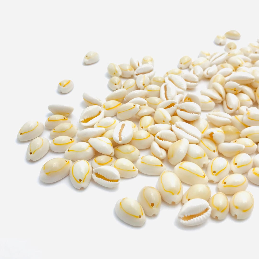 Small Cowrie Shells 1 Hole X25, Porcelain, Craft Shell, Jewelry Shell ...