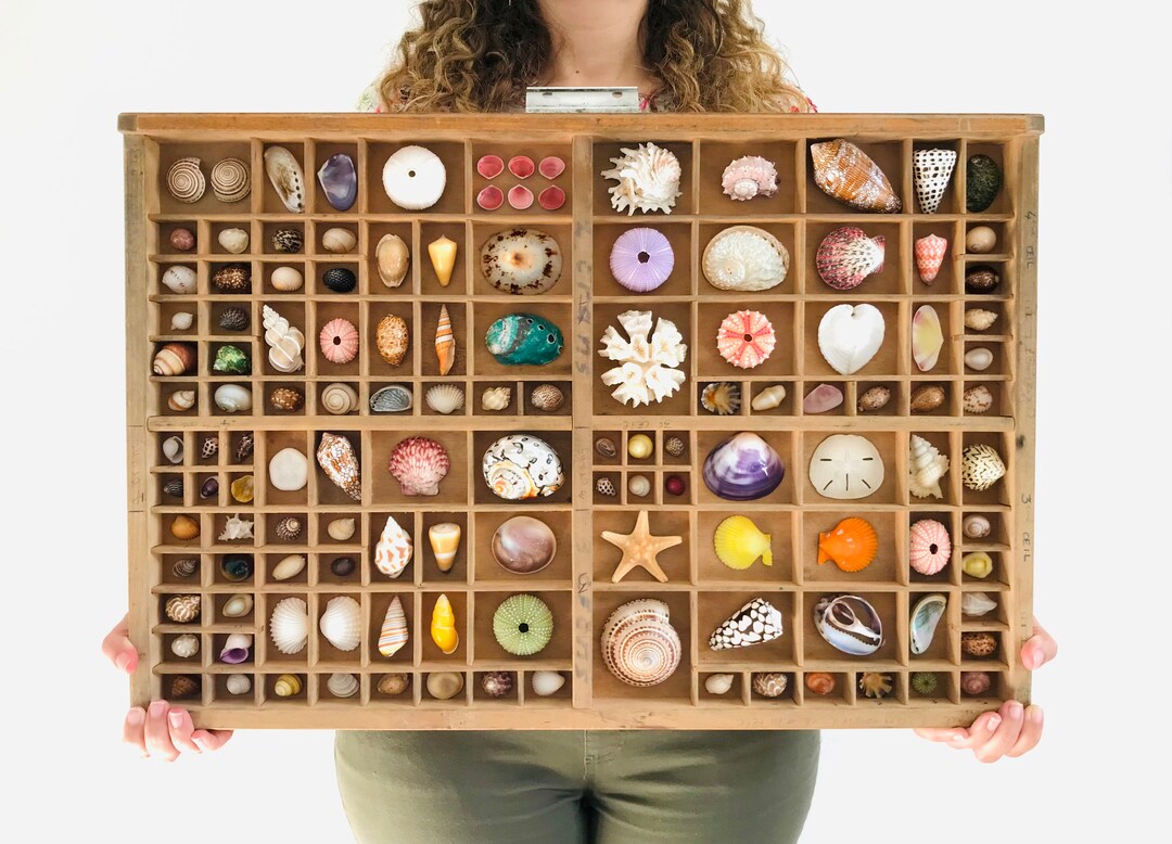 Shell Frame, Printer Locker, Industrial Decoration, Curiosity Cabinet ...