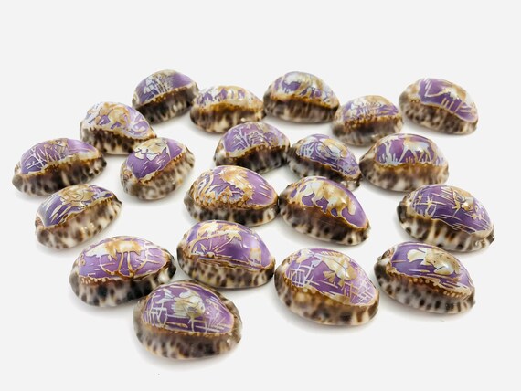 Concha Morada Pegatina For Sale Con La Obra «Concha Morada» De