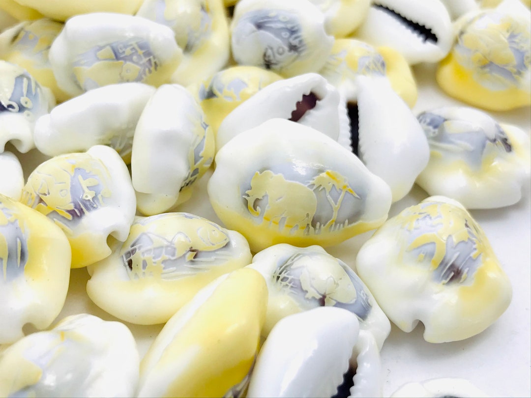 Engraved Shell Cauri Porcelain Cabinet of Curiosity - Etsy