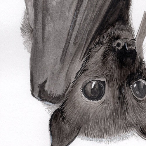 BAT WATERCOLOR PRINT Watercolor Bat Art Bat Print Bat - Etsy