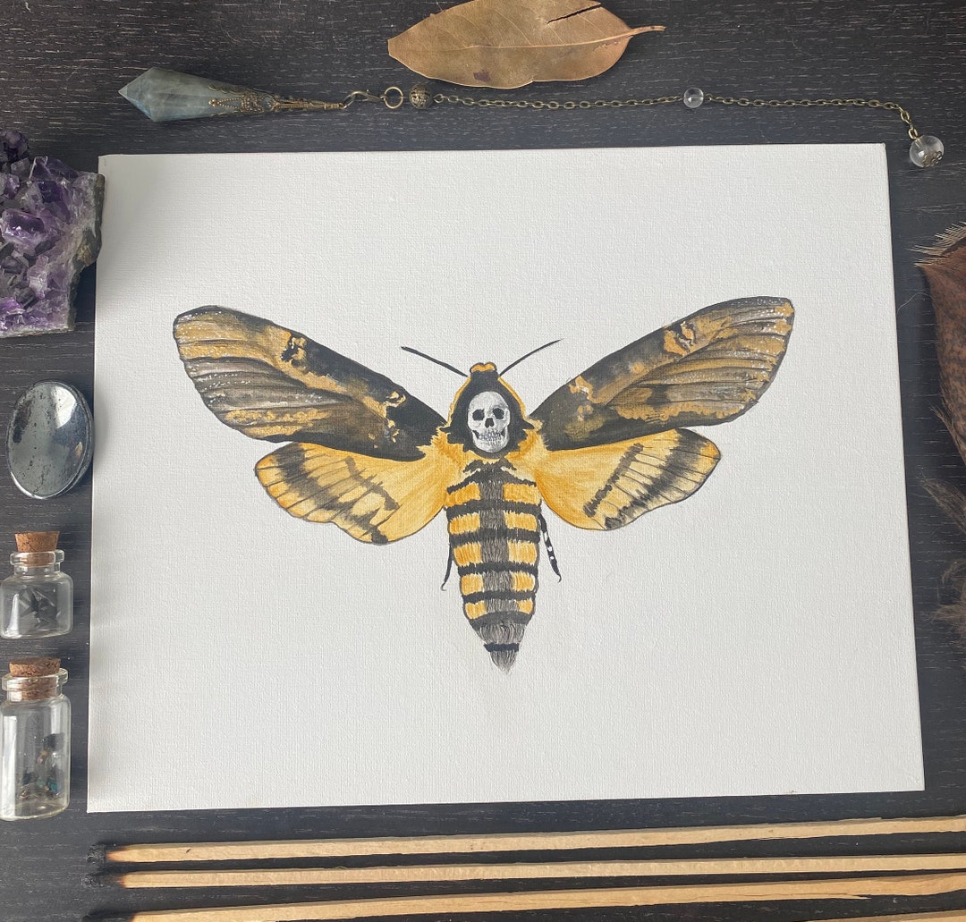 Deathhead Moth Original Painting - Etsy