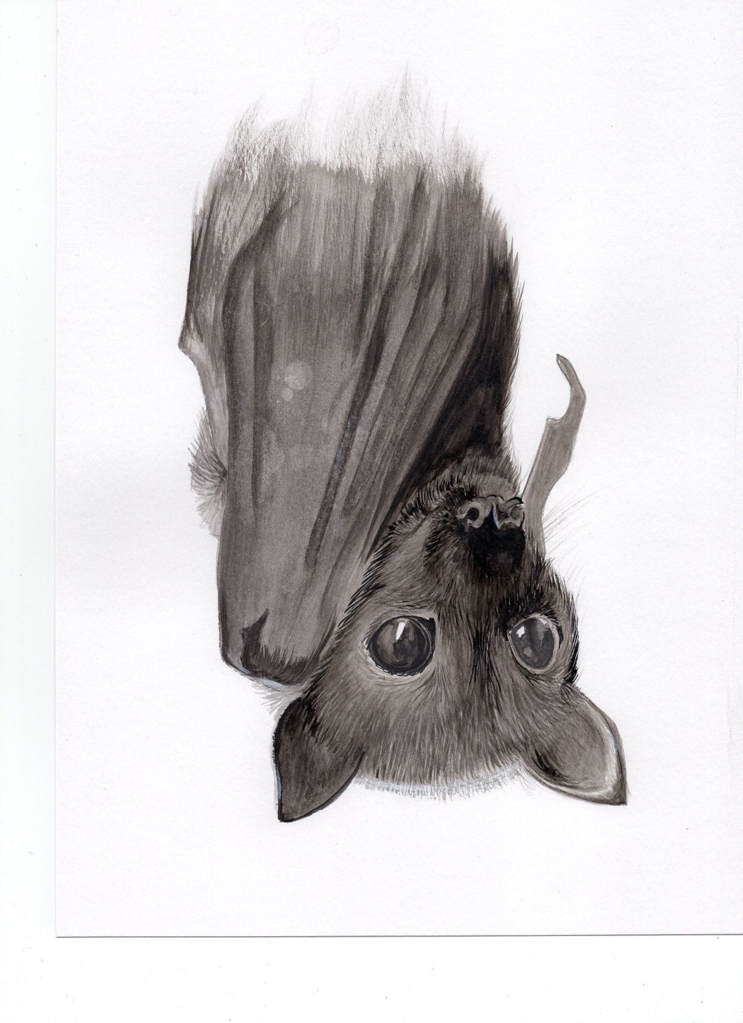 Watercolor Bat Art Print Flying Fox - Etsy