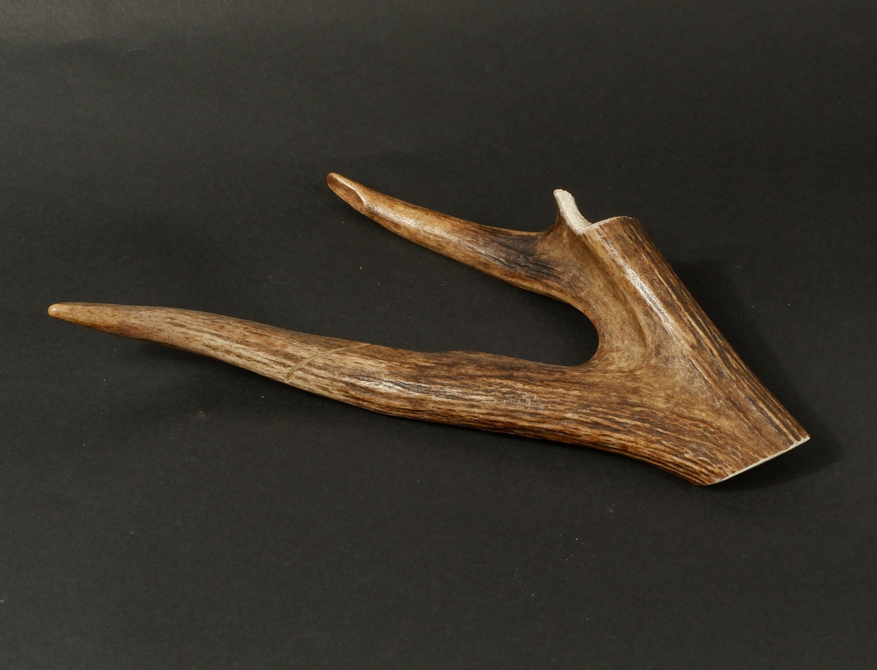 Unique knife stand Deer antler Collectable knife stand | Etsy