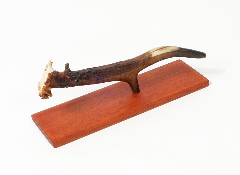 Unique knife stand Deer antler and wooden base Collectable | Etsy