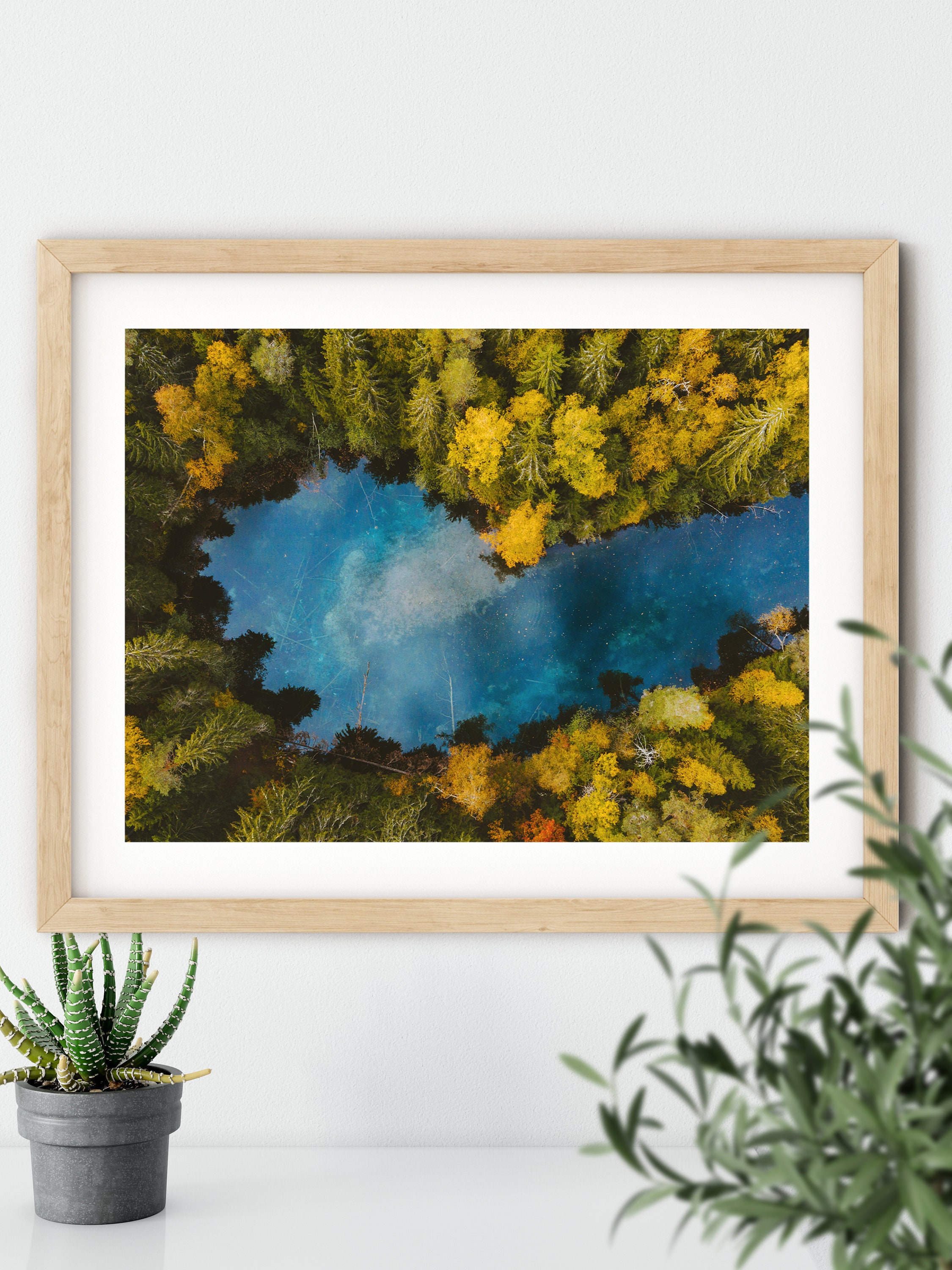 Forest Print, Aerial View, Printable Wall Art, Scandi Print, Wall Art ...