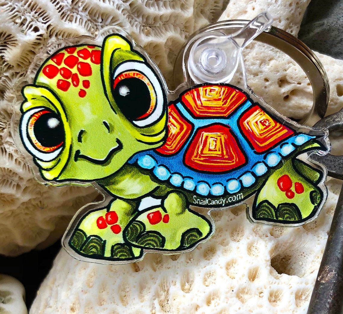 Cute Turtle, Tortoise, Turtle Art, Turtle Keyring, Baby Turtle ...
