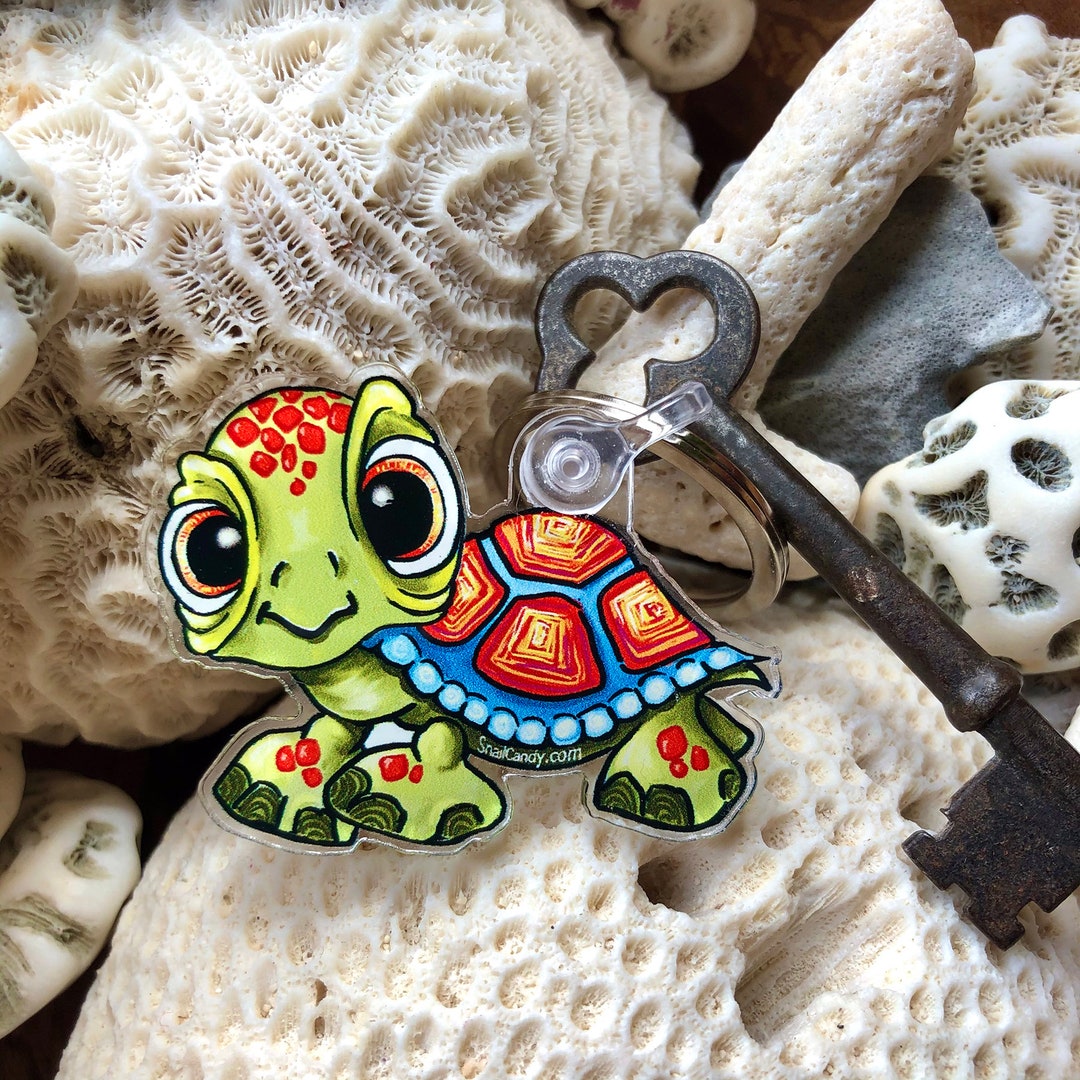 Cute Turtle, Tortoise, Turtle Art, Turtle Keyring, Baby Turtle ...