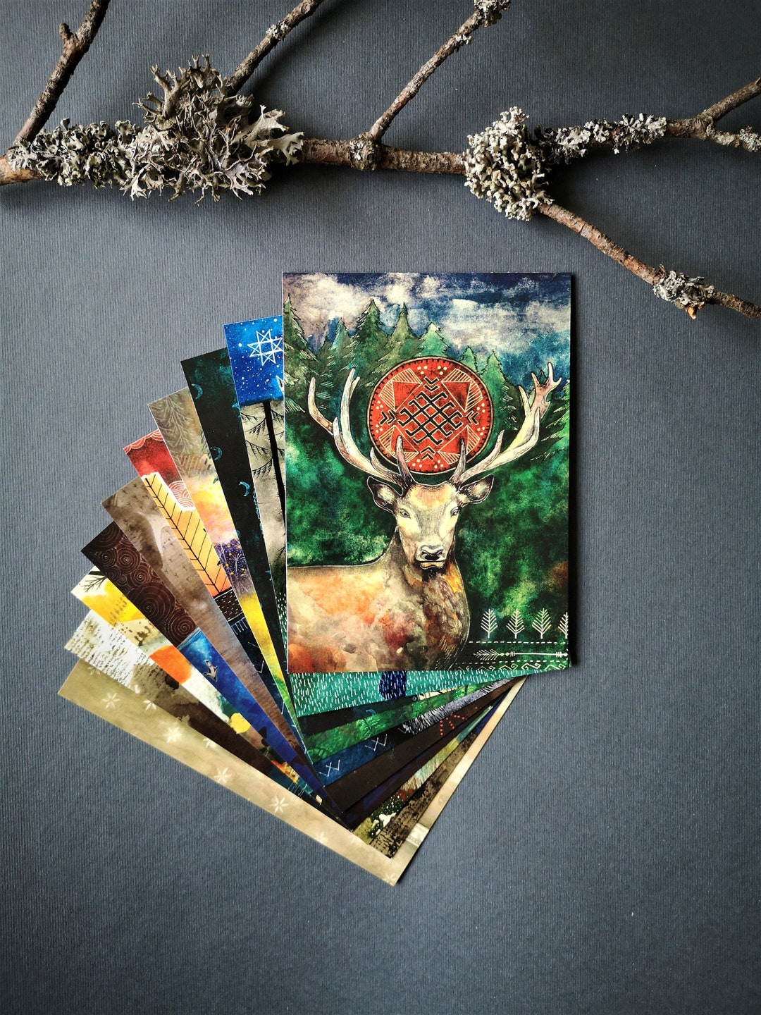 Wildlife Postcard Set / 10 Different Original Postcards / Unused ...