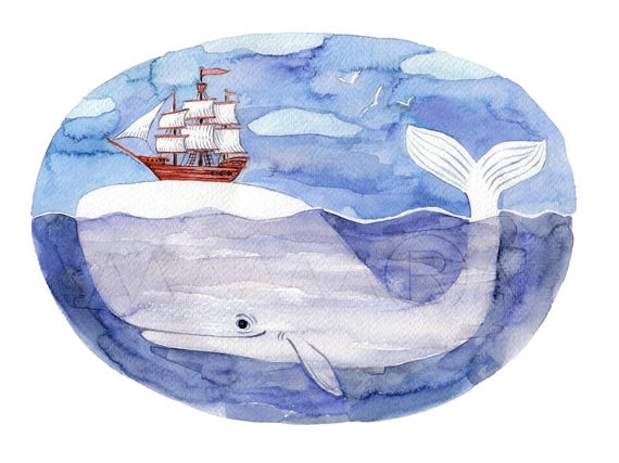 Moby Dick Whale Drawing