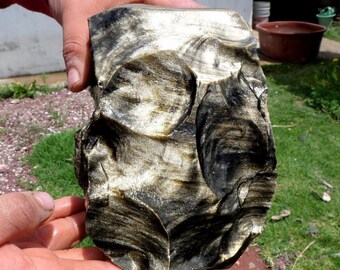 Mexican Obsidian Golden - Etsy