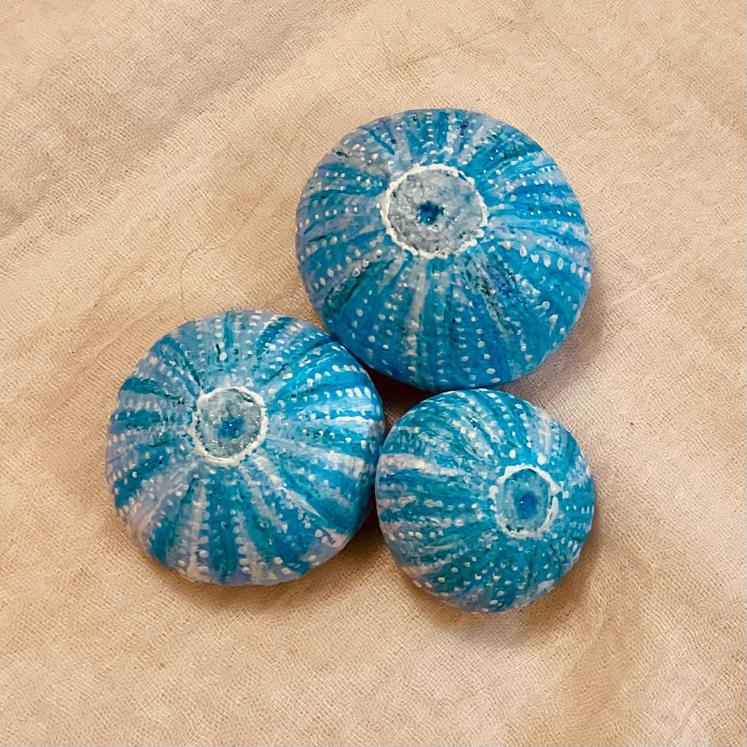 Sea Urchin Stones, Painted Rocks Set of Three, Faux Shells, Garden ...