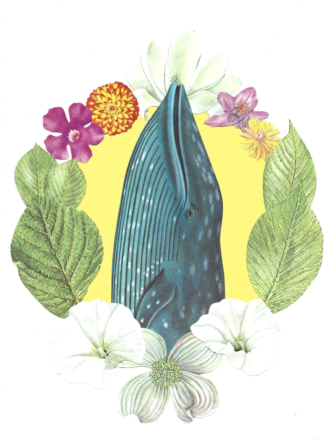 Whale Watching Hand Cut Paper Collage Graphic Vintage Retro Kitsch Art ...