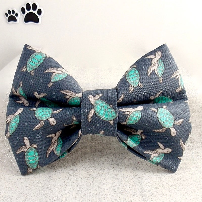 Turtle With Bow - Etsy