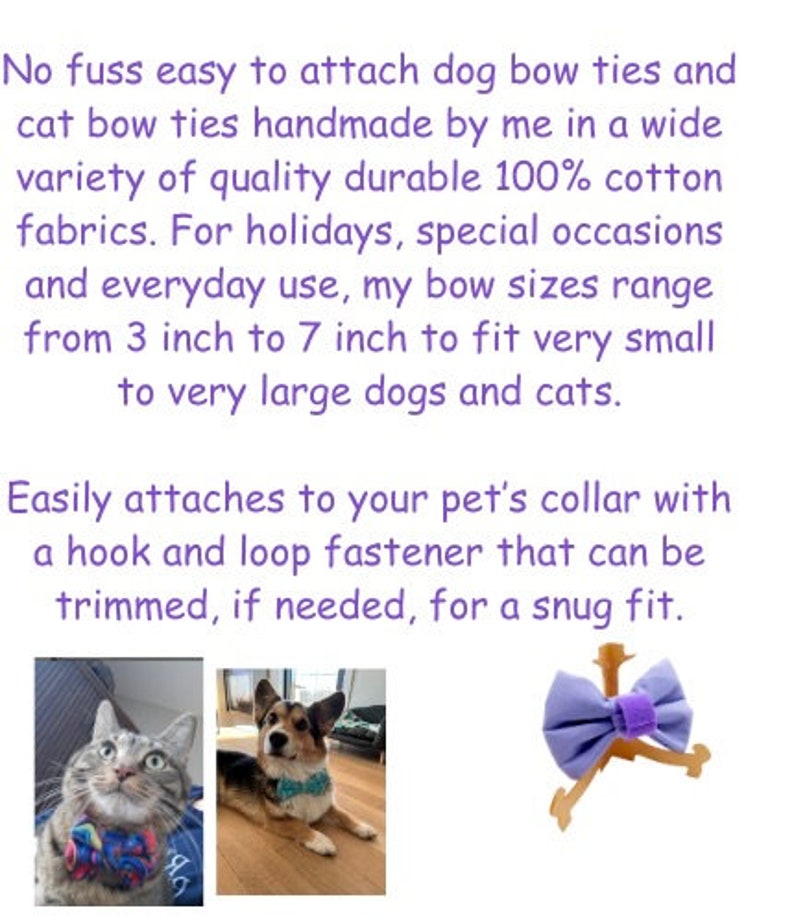 Puparazzi Dog Bow Tie: Camera & Paw Print Bow, Photo Prop for Pet ...