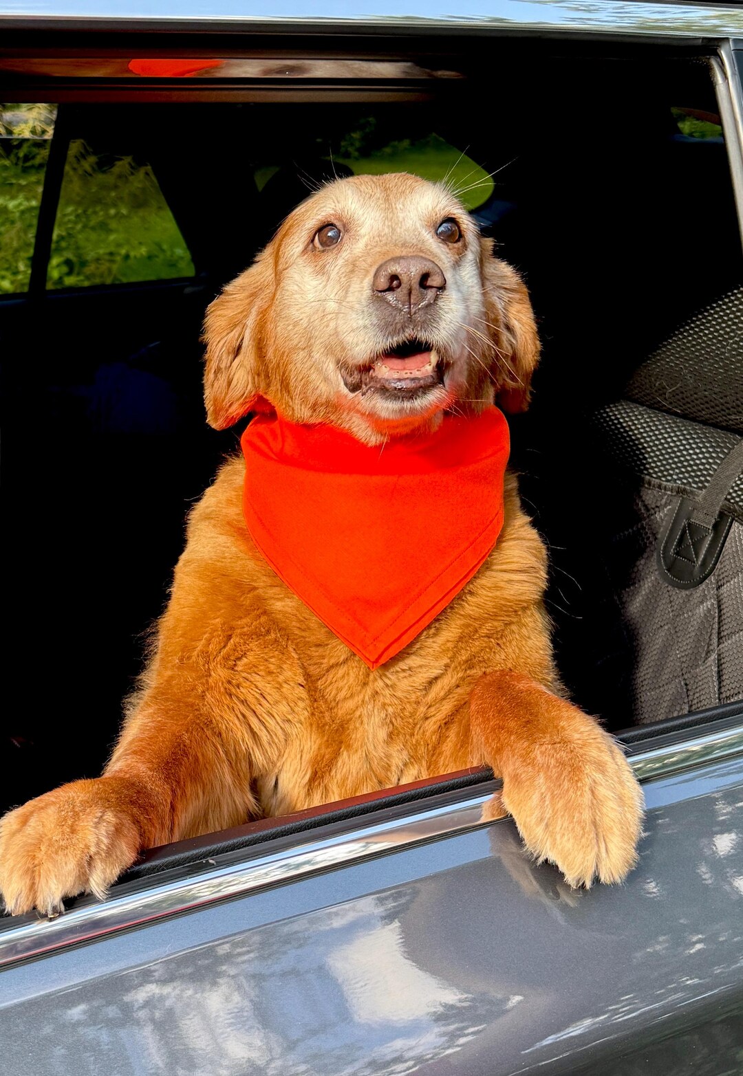 Blaze Orange Hunting Dog Bandana High Visibility Safety Orange Bandana ...