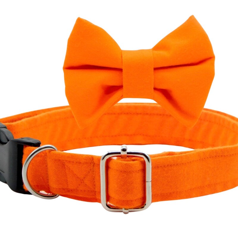 Orange Dog Collar - Etsy