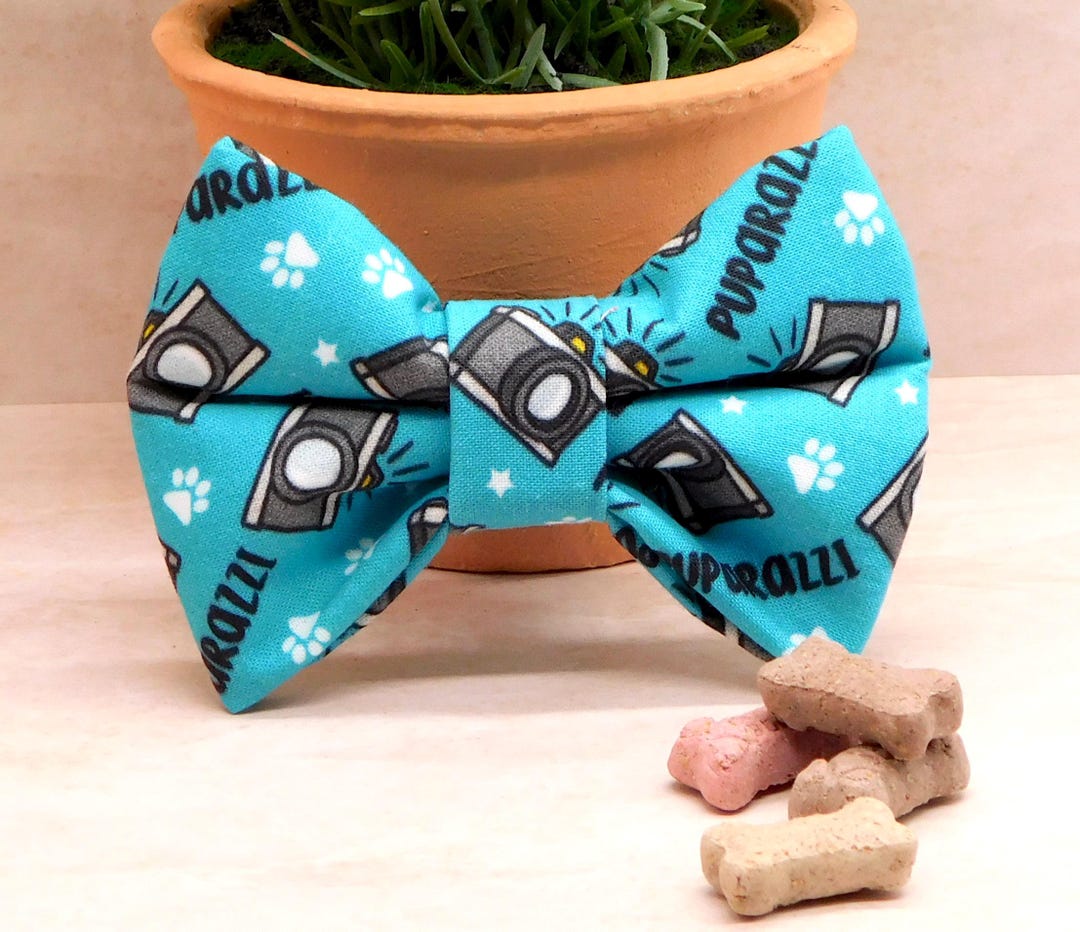 Puparazzi Dog Bow Tie: Camera & Paw Print Bow, Photo Prop for Pet ...