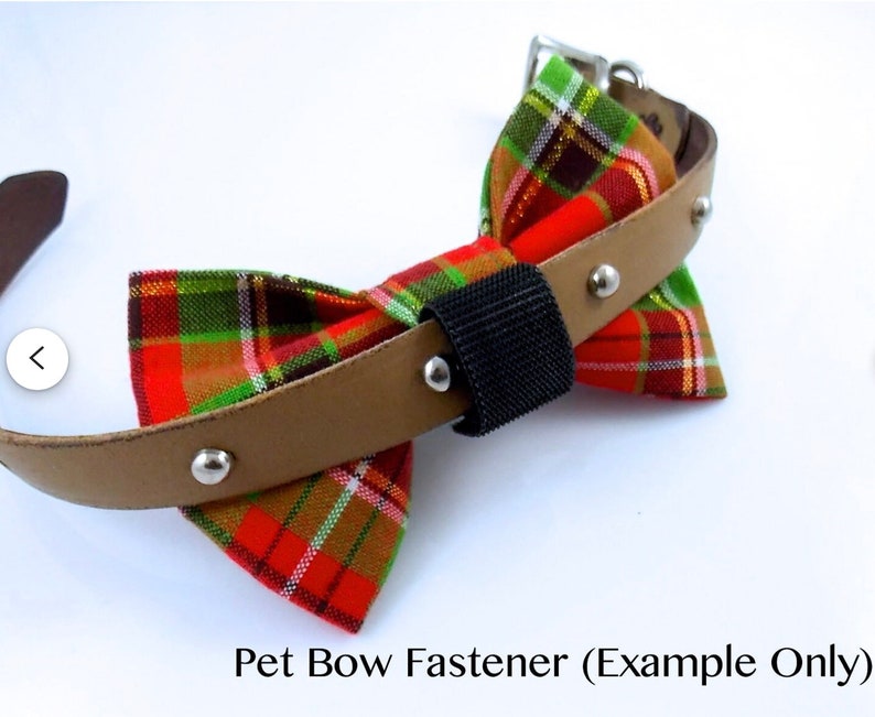 Puparazzi Dog Bow Tie: Camera & Paw Print Bow, Photo Prop for Pet ...