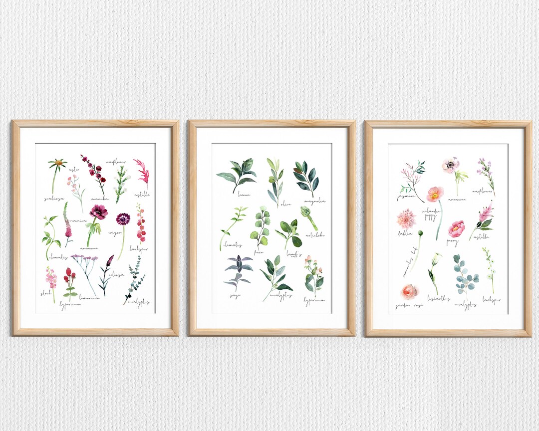 Printable Botanical Poster Set - 3 Piece Wall Art Printable - Etsy