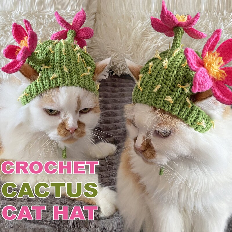 Crochet Cat Hat Pattern - Etsy