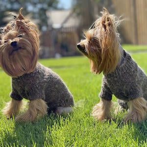 Knitting Pattern DOG SWEATER. Yorkie PDF Sweater Pattern, Pet Costume ...