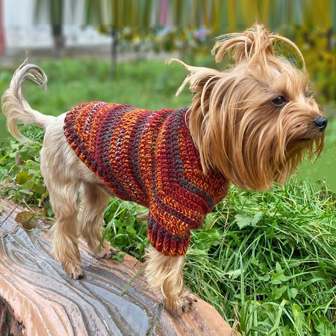 DOG SWEATER Pattern, Crochet Sweater for Small Dogs, PDF Dog Sweater ...