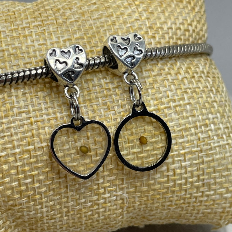 Mustard Seed Charm - Etsy