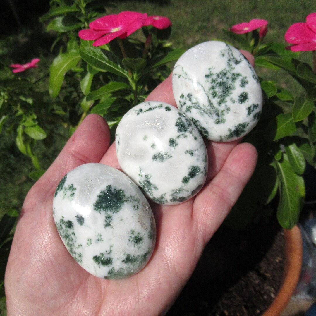 Tree Agate, Choose One Palm Stone, Natural Tree Agate - Etsy