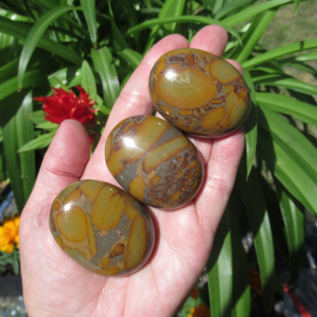 Natural Bamboo Jasper Palm Stone - Grounding Crystal - Etsy