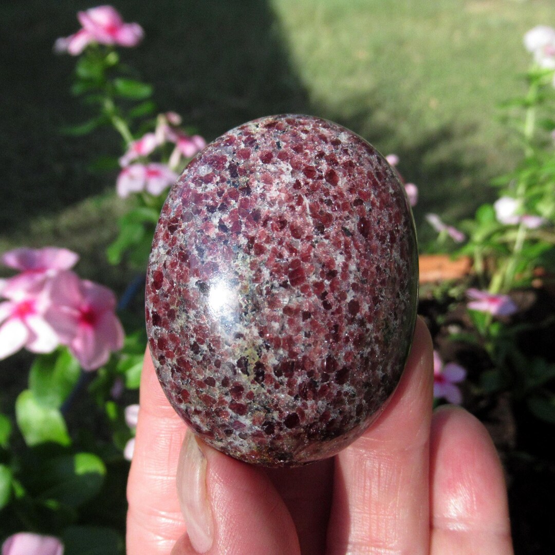 Rare Madagascar Garnet Grade A Palm Stone, Polished Pyrope Garnet Palm ...