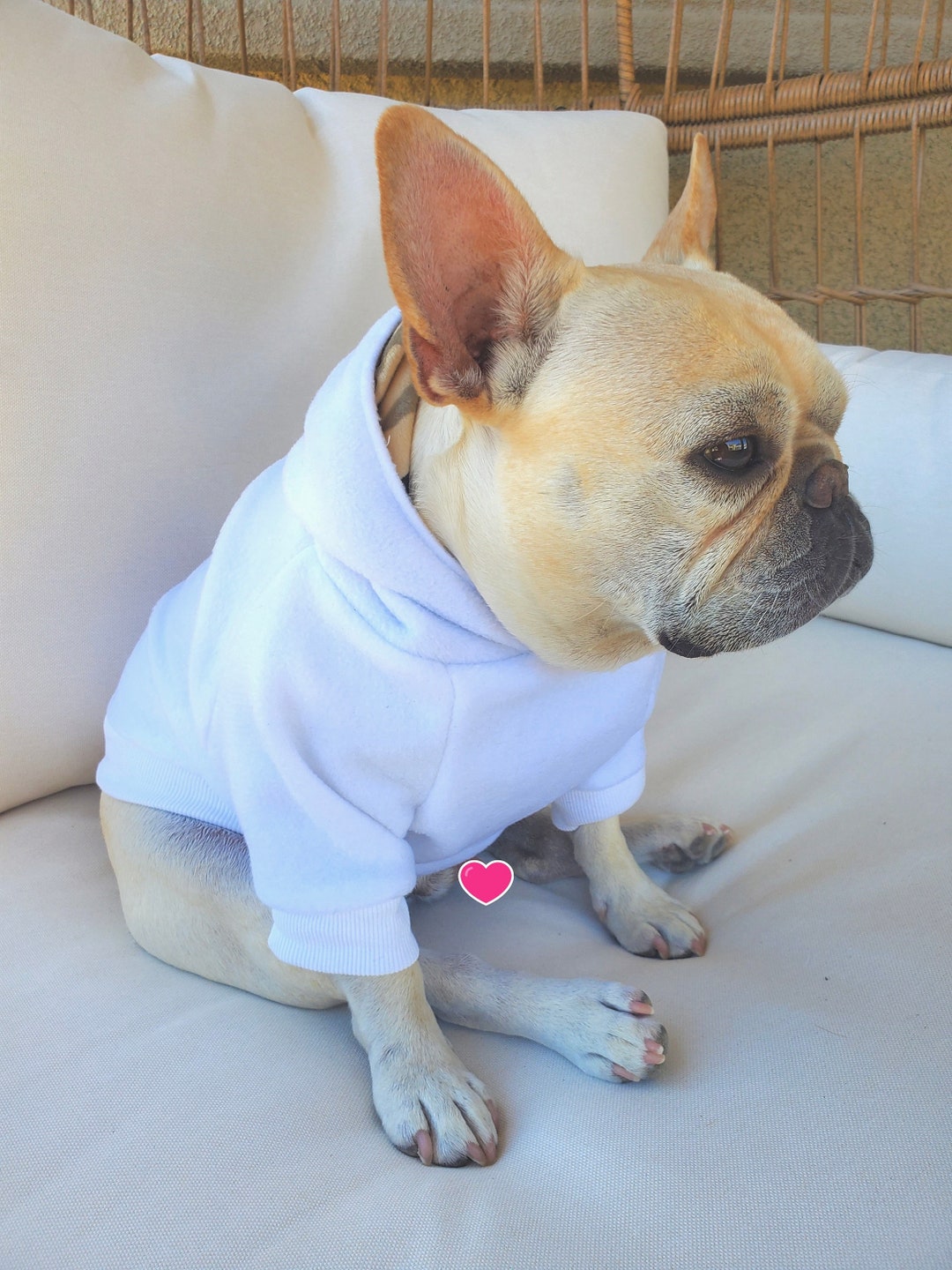 French Bulldog, French Bulldog Clothes, French Bulldog Hoodie, French ...