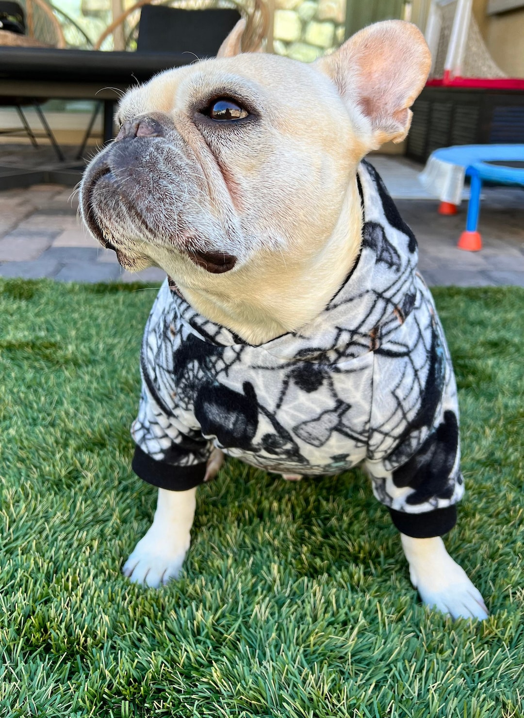 French Bulldog, French Bulldog Clothes, French Bulldog Hoodie, French ...
