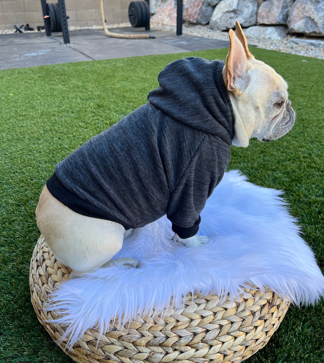 French Bulldog, French Bulldog Clothes, French Bulldog Hoodie, French ...