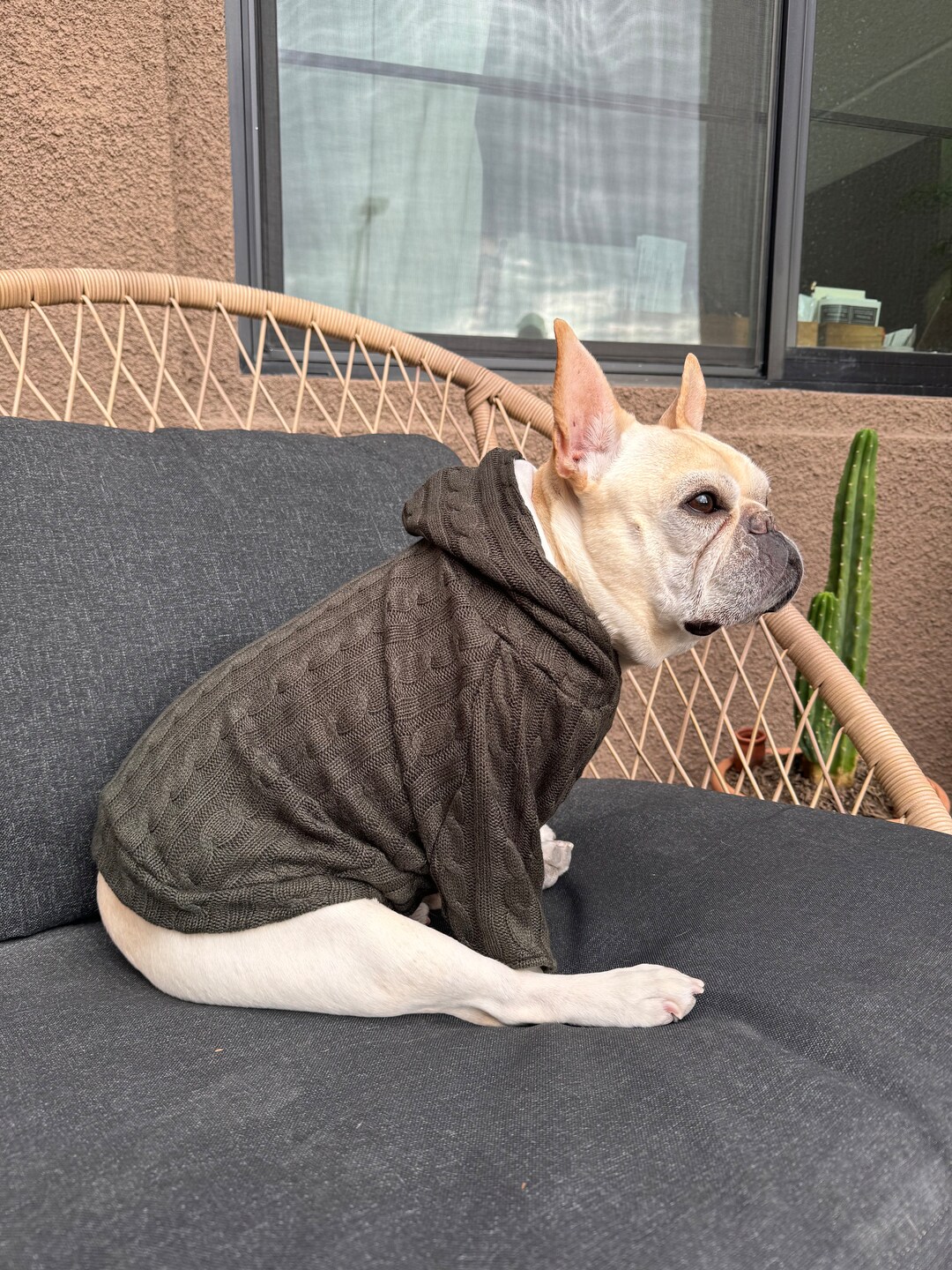 French Bulldog, French Bulldog Clothes, French Bulldog Hoodie, Cable ...
