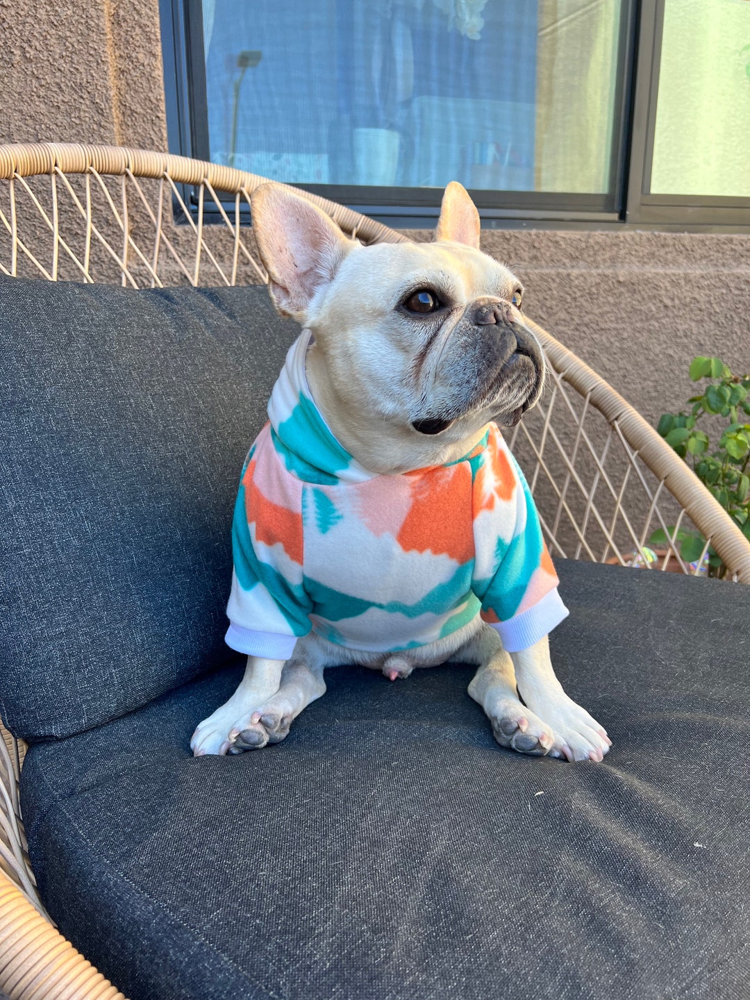 French Bulldog, French Bulldog Clothes, French Bulldog Hoodie, French ...