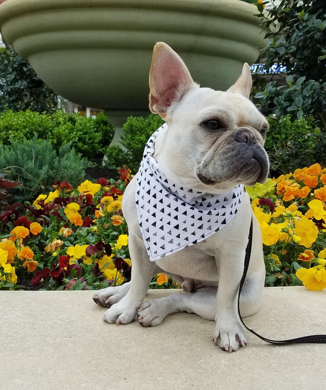 French Bulldog French Bulldog Bandana Bandana Reversible - Etsy Singapore