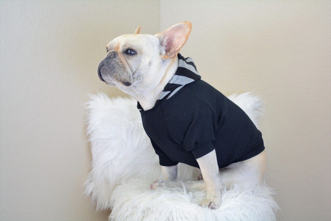 French Bulldog, French Bulldog Clothes, French Bulldog Hoodie, French ...