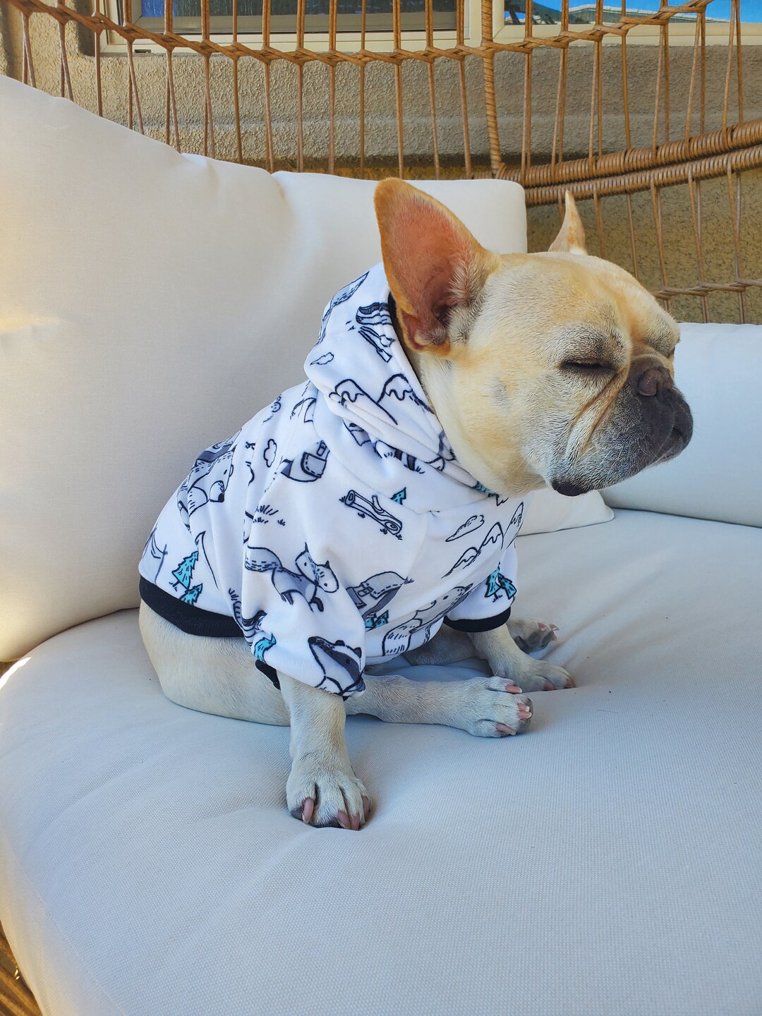 French Bulldog, French Bulldog Clothes, French Bulldog Hoodie, French ...