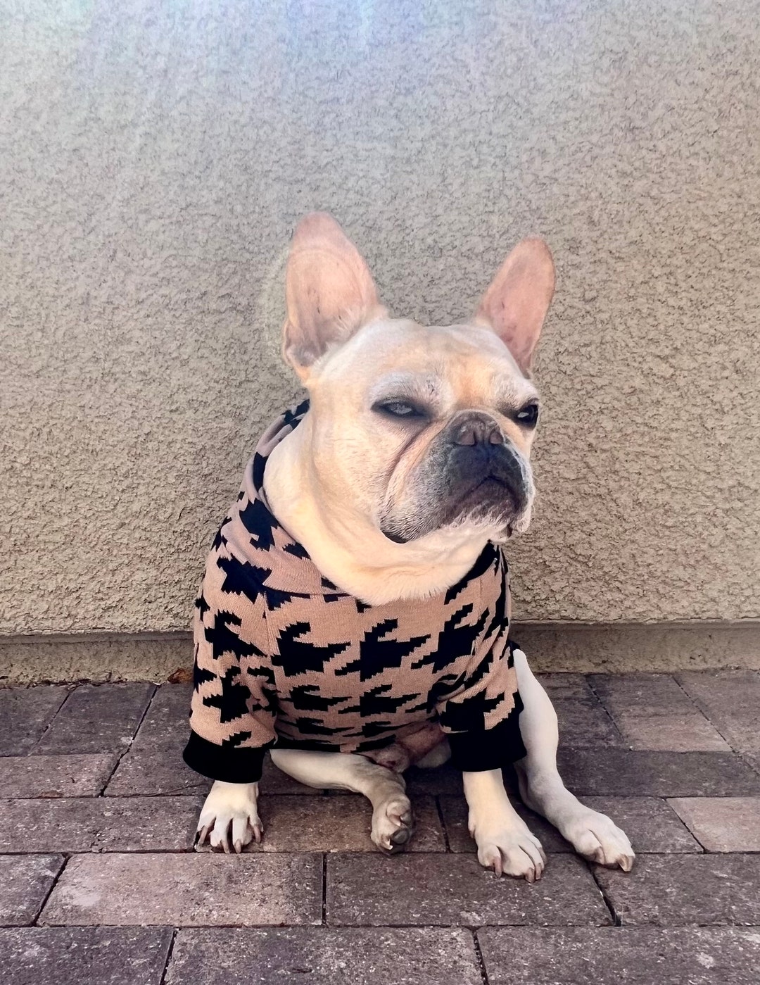 French Bulldog, French Bulldog Clothes, French Bulldog Hoodie, Dog ...