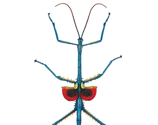 MartynWarrenPrints - Etsy UK