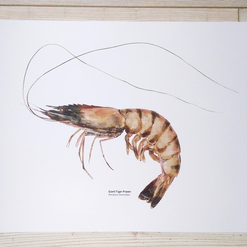 MartynWarrenPrints - Etsy UK