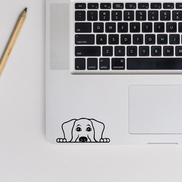 Funny Wall Decal - Etsy