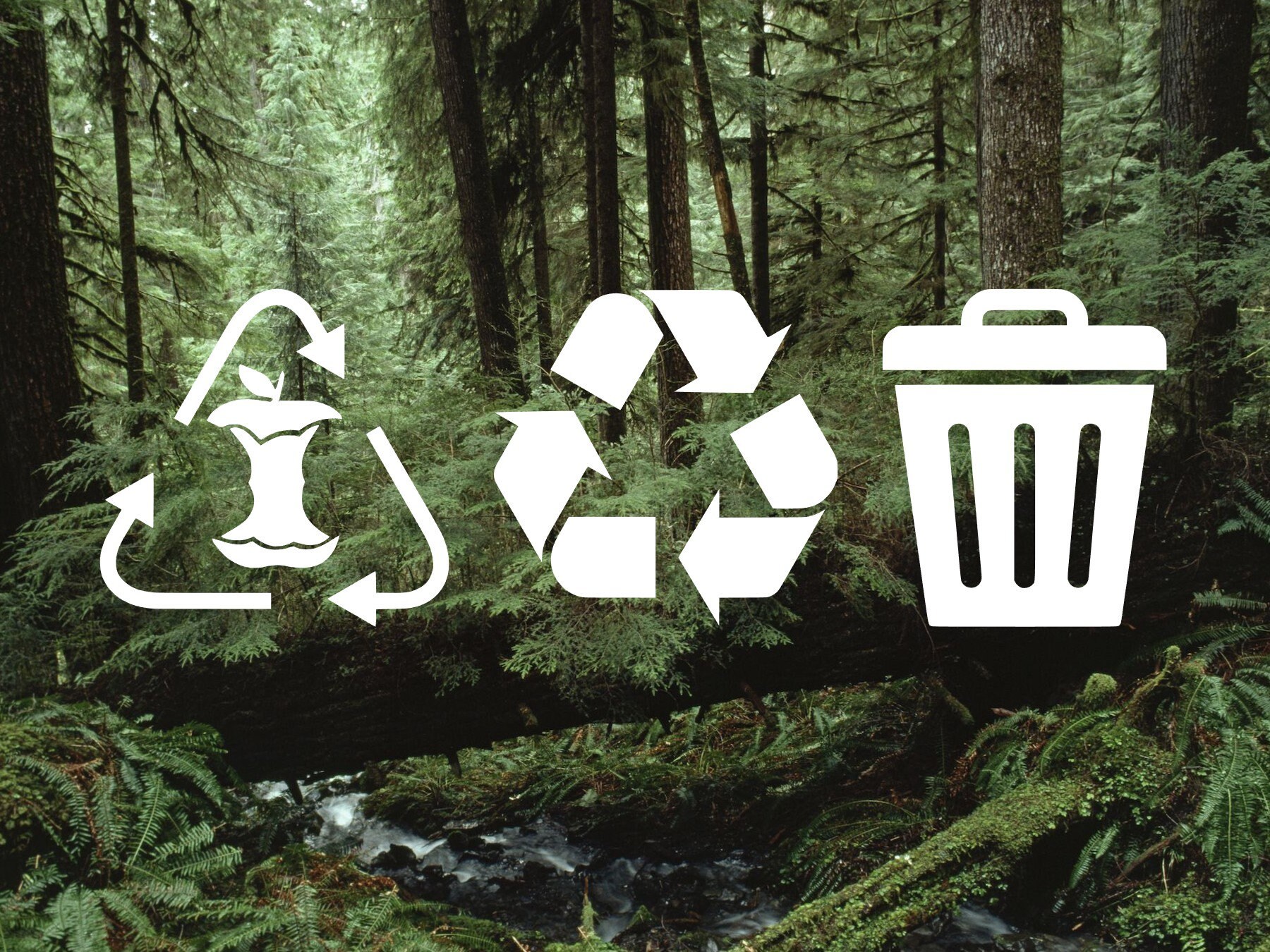 3X Recycle, Trash, Compost Decals, Wastebin Decals, Compost Sticker ...