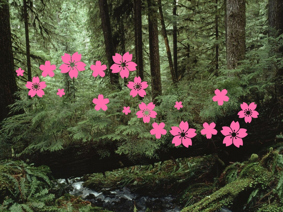 44pcs Cherry Blossom Decals, Sakura Stickers, Sakura Laptop Decals ...