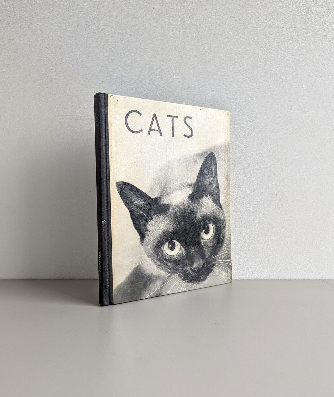 Cats Photography Book, Black and White, 1965 - Etsy