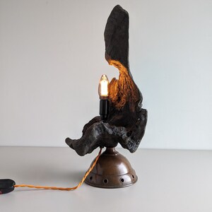 Bespoke Statement Table Light Made of Beautiful Piece of Wood - Etsy UK