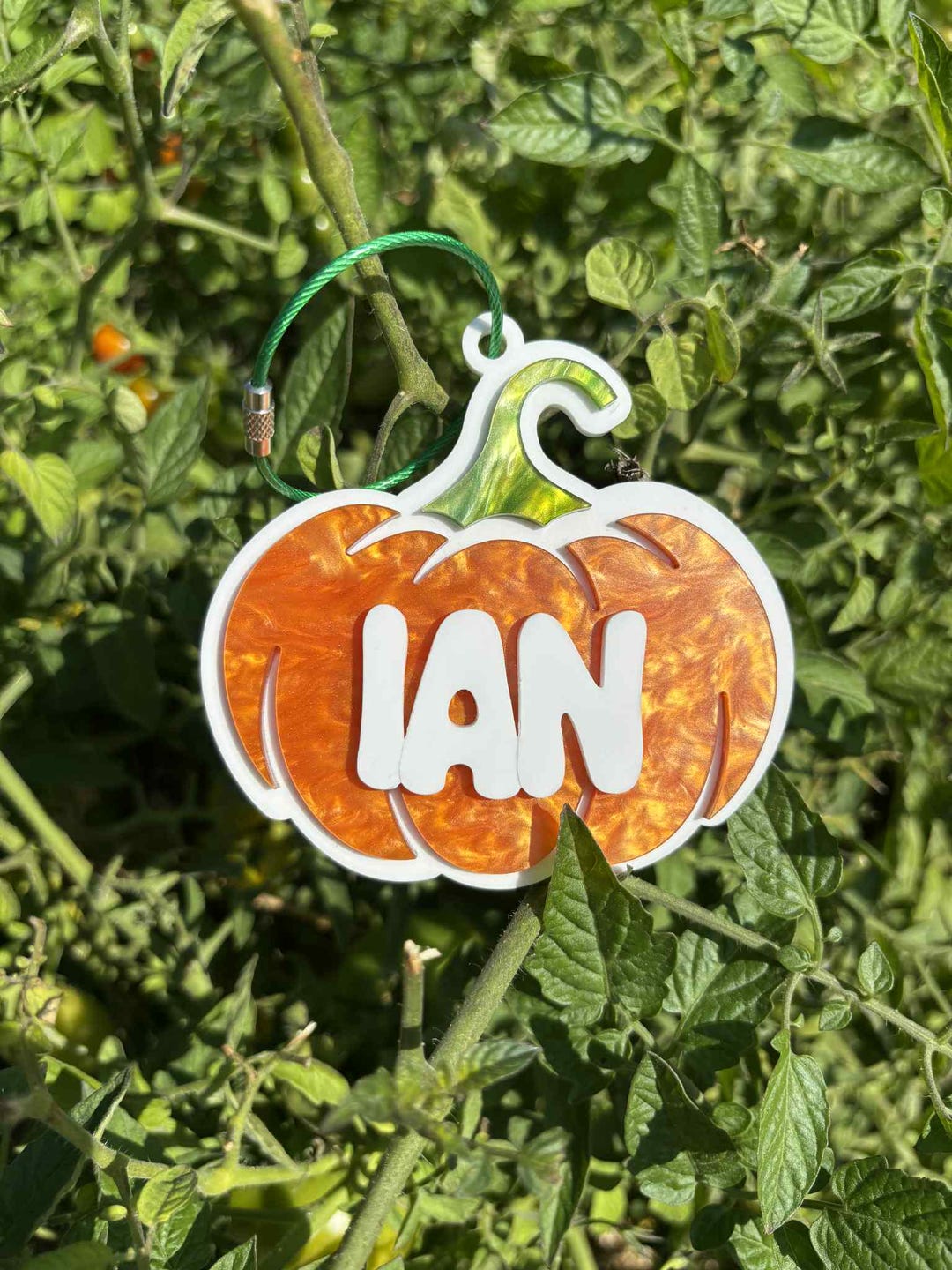 Custom Halloween Basket Tag- Orange Pumpkin - Etsy